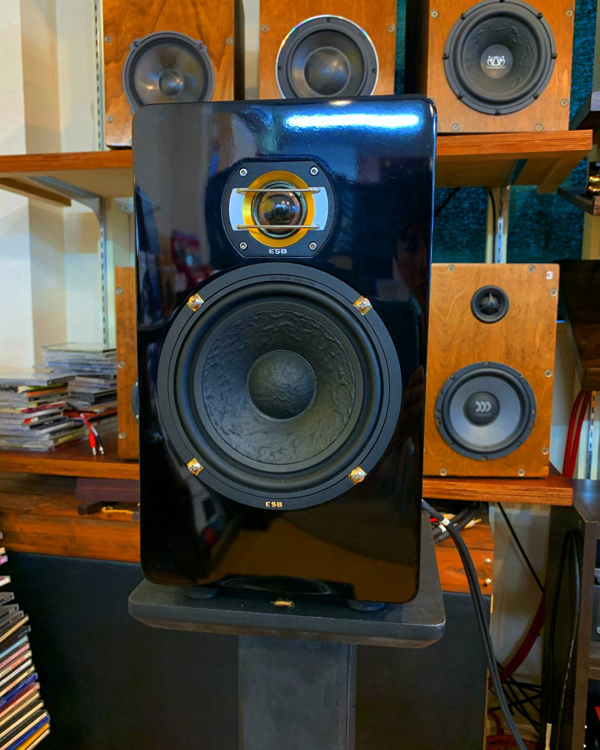 ESB AUDIO - サウンド ナビプロ (SOUND NAViPRO)